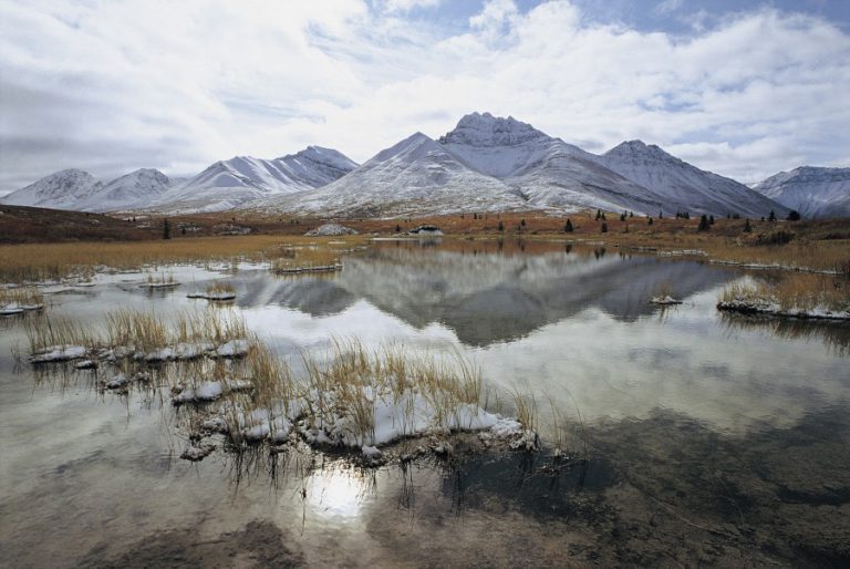 Peel Watershed Protection Campaign - The Conservation Alliance
