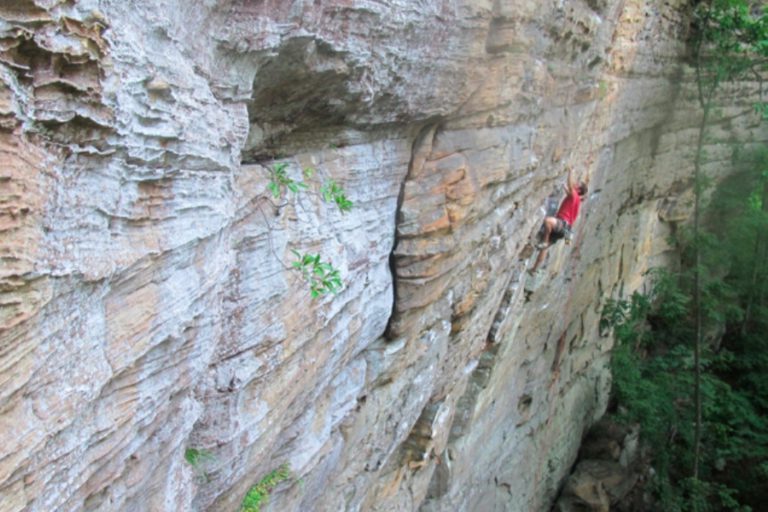 Miller Fork Recreational Preserve Acquisition Campaign - The ...