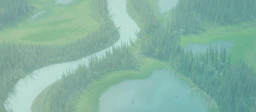 Priority Campaigns - The Conservation Alliance