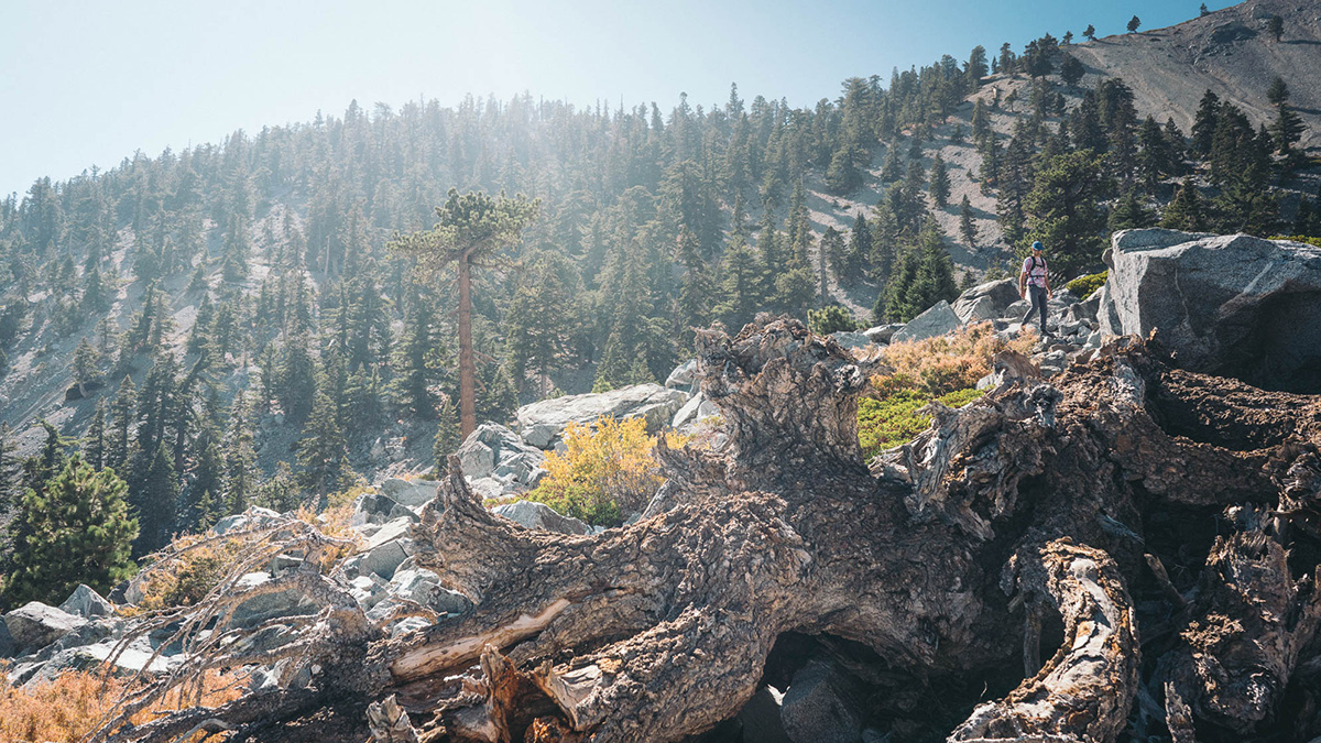 Southern California National Monuments - The Conservation Alliance