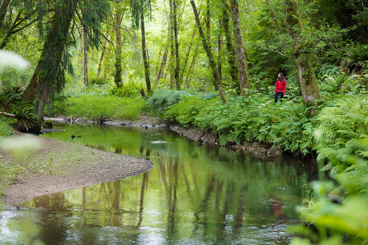 Grants Overview - The Conservation Alliance