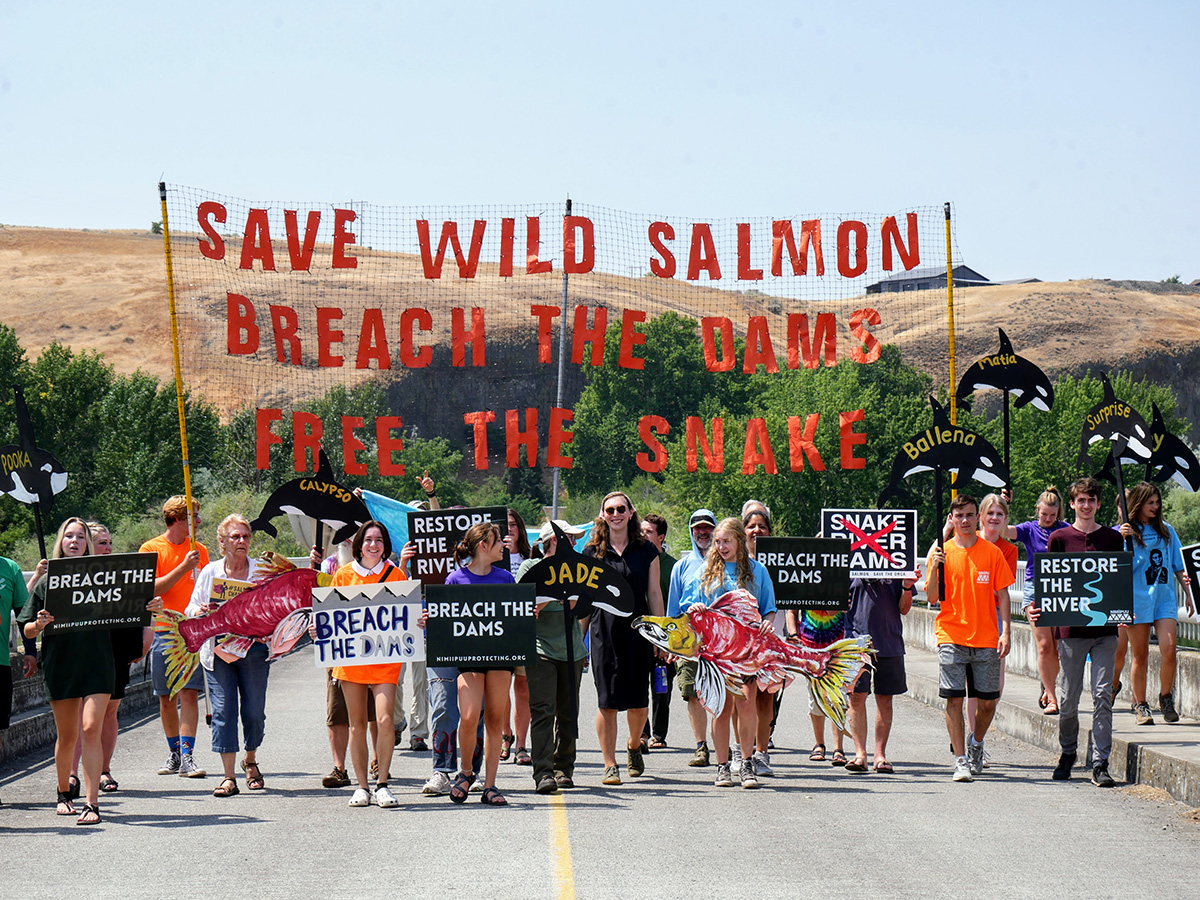 Advocating for Salmon, Orcas, and Tribal Justice on the Snake River ...
