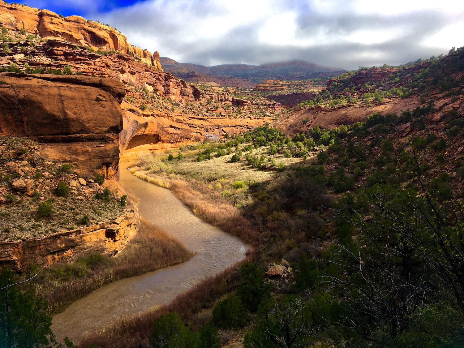 Dolores River Canyon Country Protection Campaign - The Conservation ...