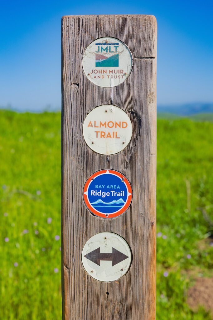 TCA Member Companies Partner with the John Muir Land Trust for our Bay ...