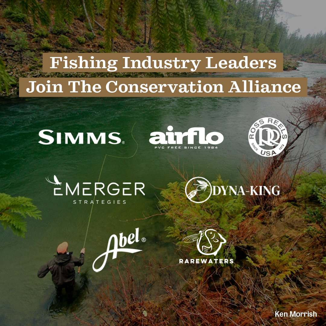 Fishing Industry Leaders Double Down on Conservation Agenda - The ...