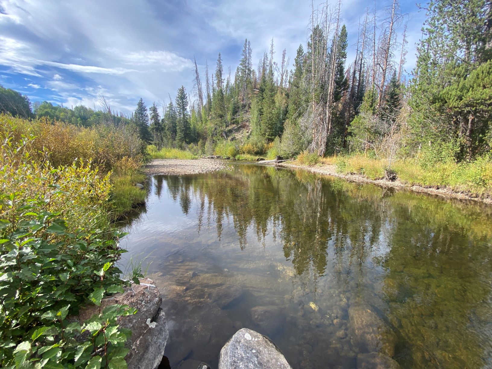 Success Stories - The Conservation Alliance