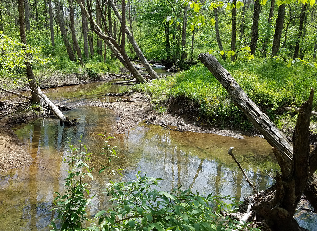 Protecting Wilderness in the Midwest - The Conservation Alliance