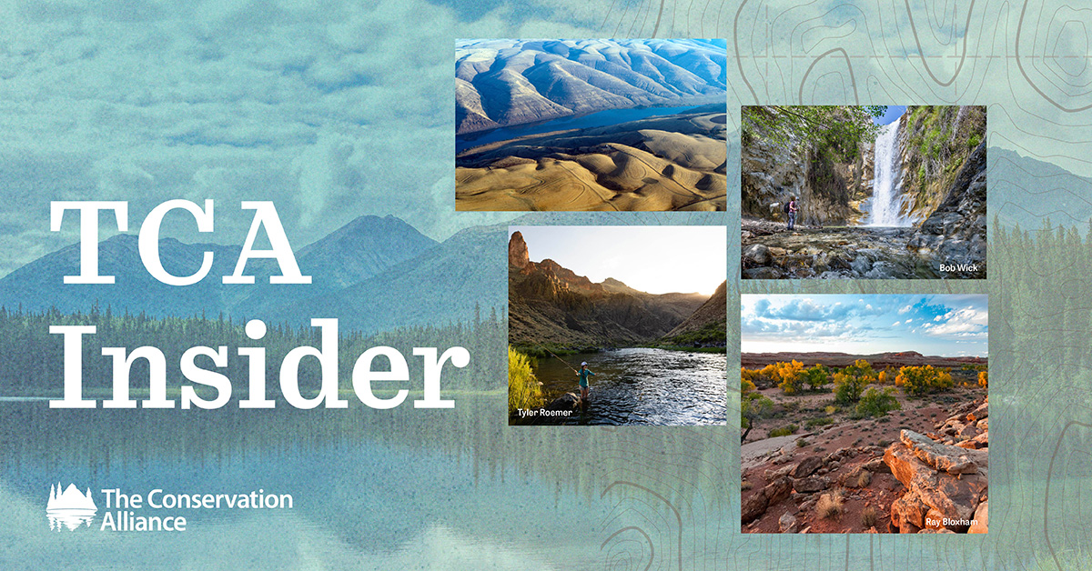 TCA Insider: June 2025 - The Conservation Alliance