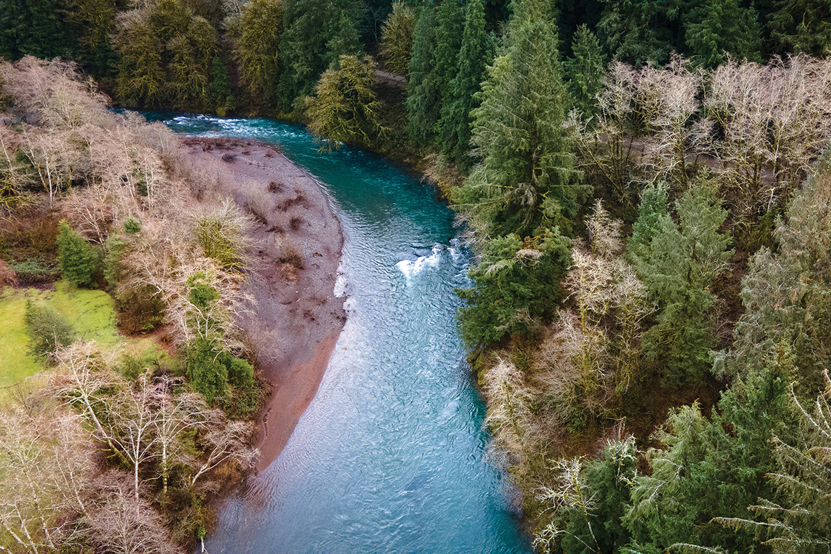 Stand Tall Oregon Campaign - The Conservation Alliance