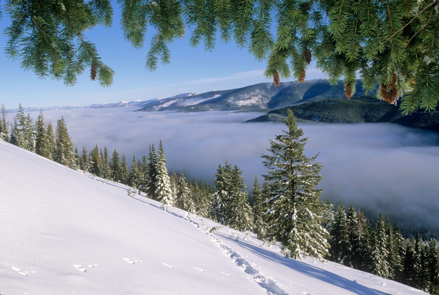 The Conservation Alliance Responds to Proposed Rescission of the ...