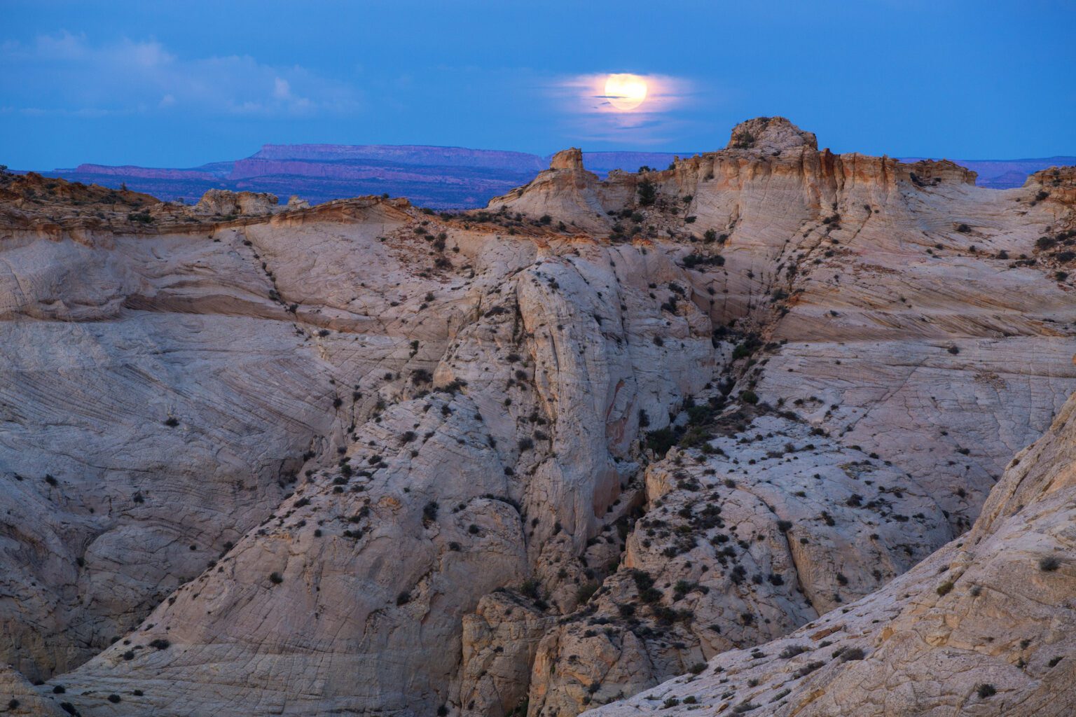 Study Shows National Monuments Promote Stable and Diversified Local ...